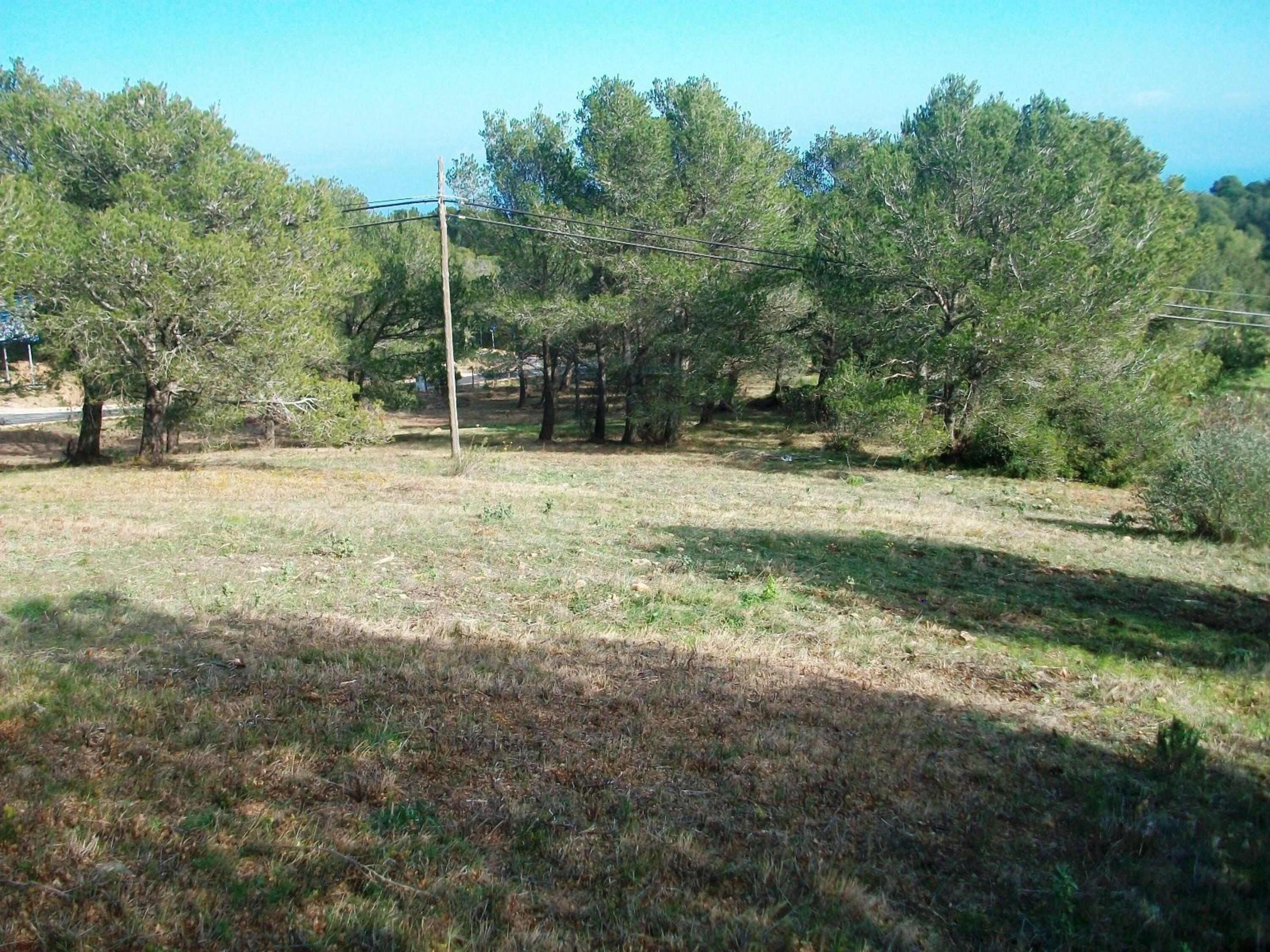 Exclusive plot with sea views in Begur, Costa Brava